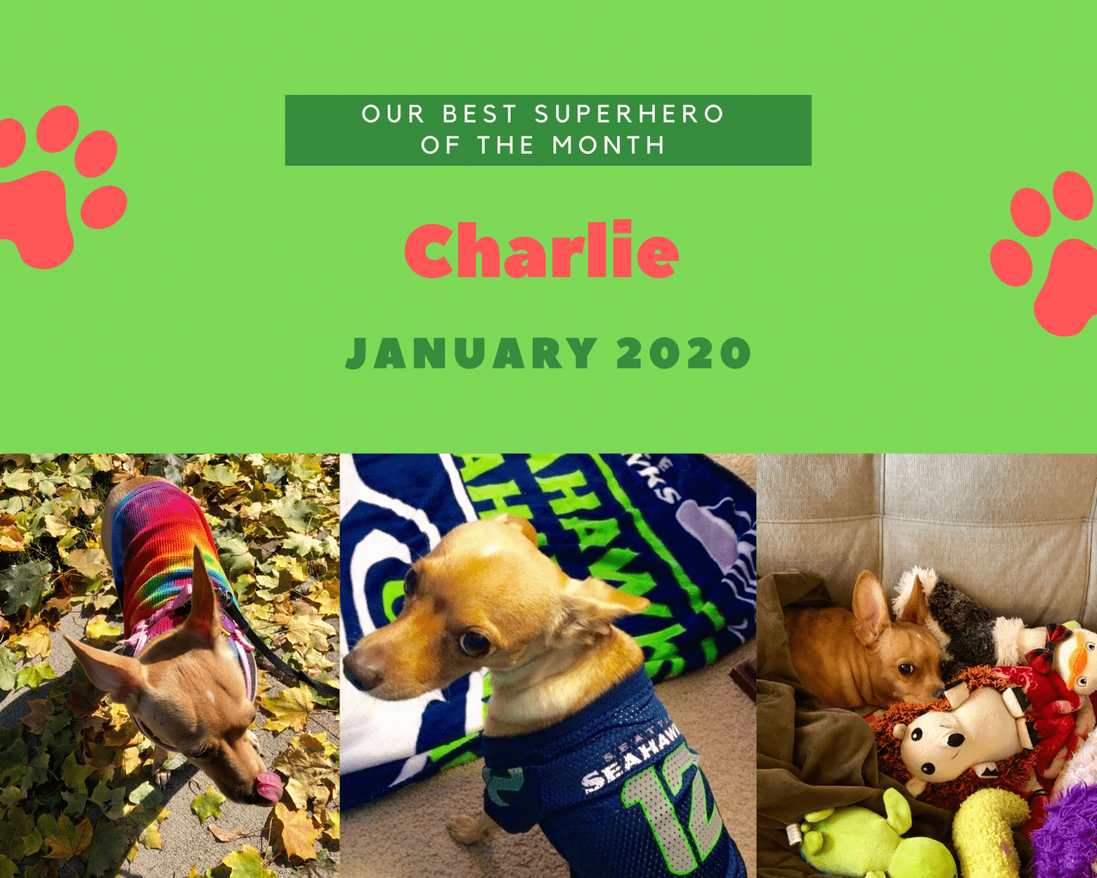 BEST Superhero of the Month January 2020 | Brain Energy Support Team
